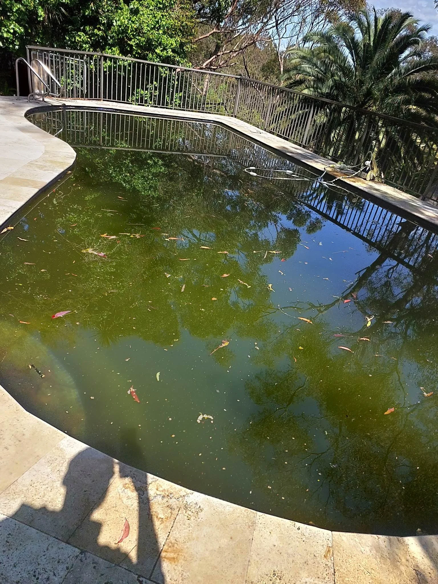 Green Swimming Pool Treatment | Clean Algae from Pool
