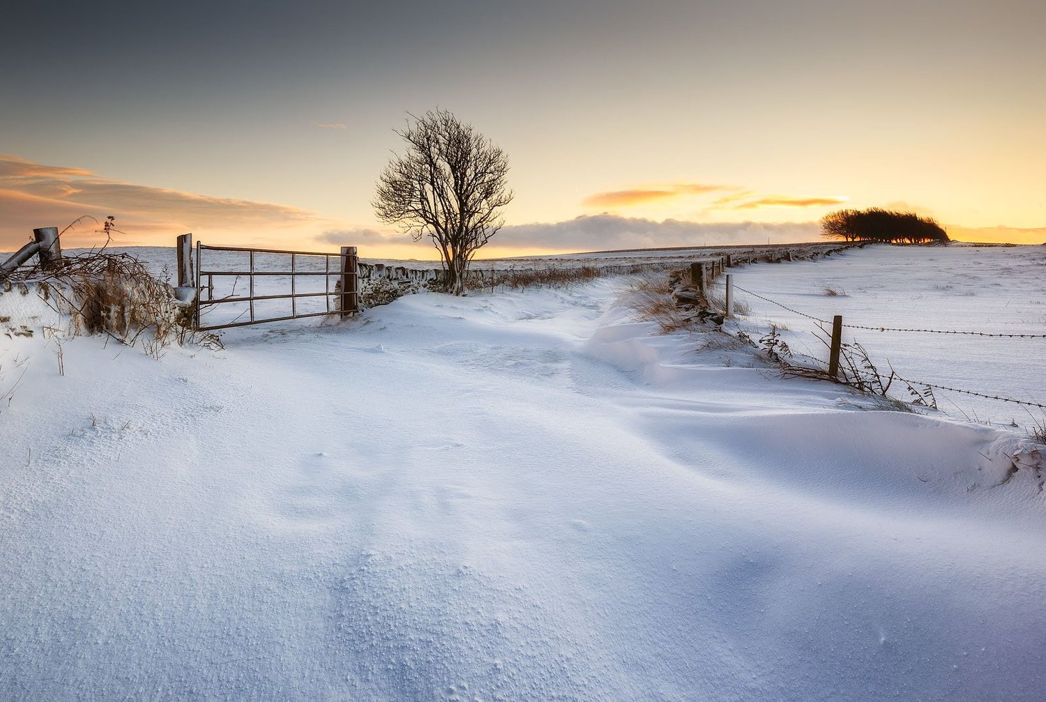 Land — Robert Birkby