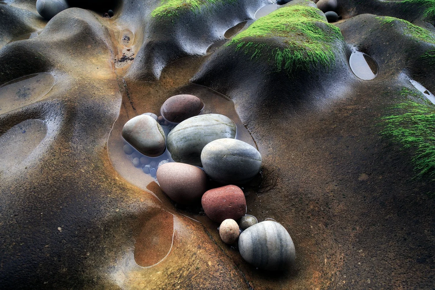 Detail & Abstract — Robert Birkby