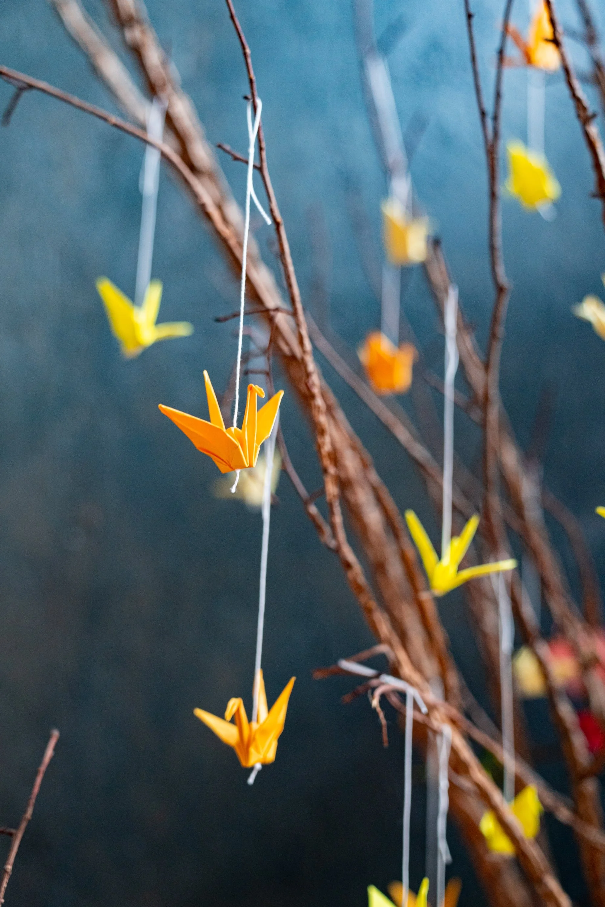 Event Space Waterloo Redfern District — Ora Restaurant