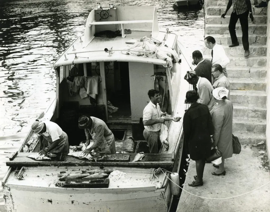 The Bermuda Fish Pot Story — Sargassogirl