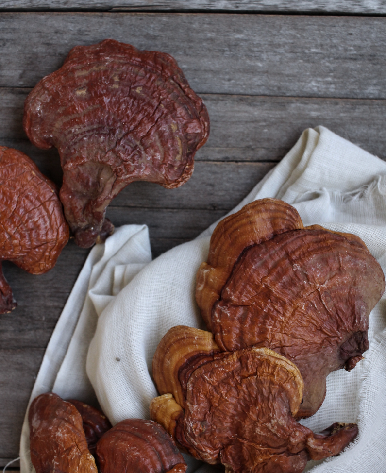 Fision® EcoSil: An Upcycled, Naturally-Derived Silicone Alternative for ...