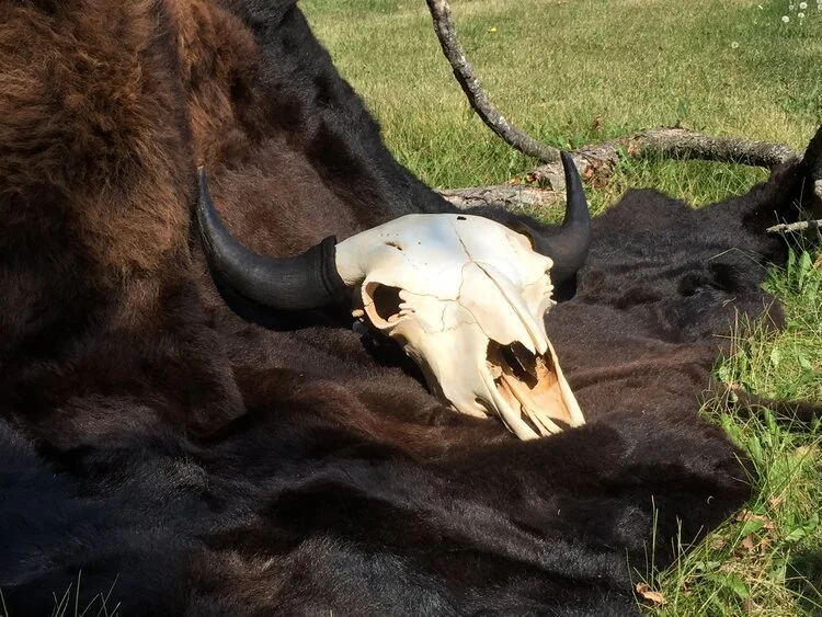 Products — Thundering Ground Bison Ranch