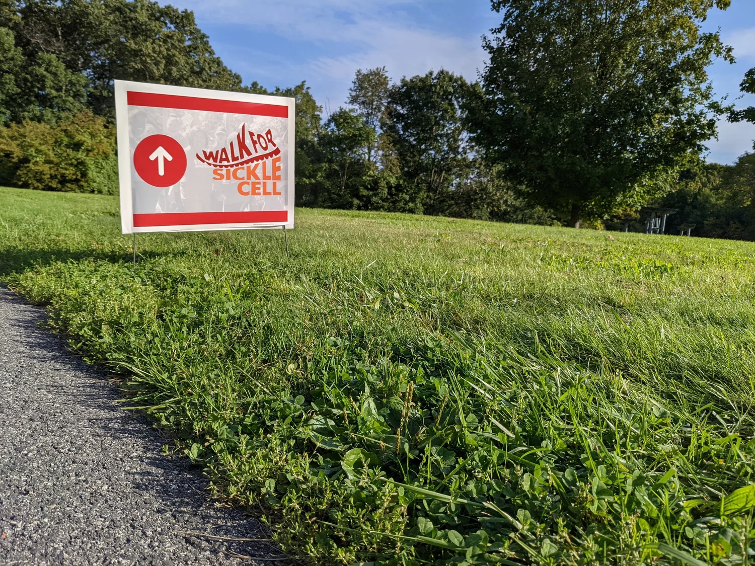 Massachusetts Sickle Cell Association