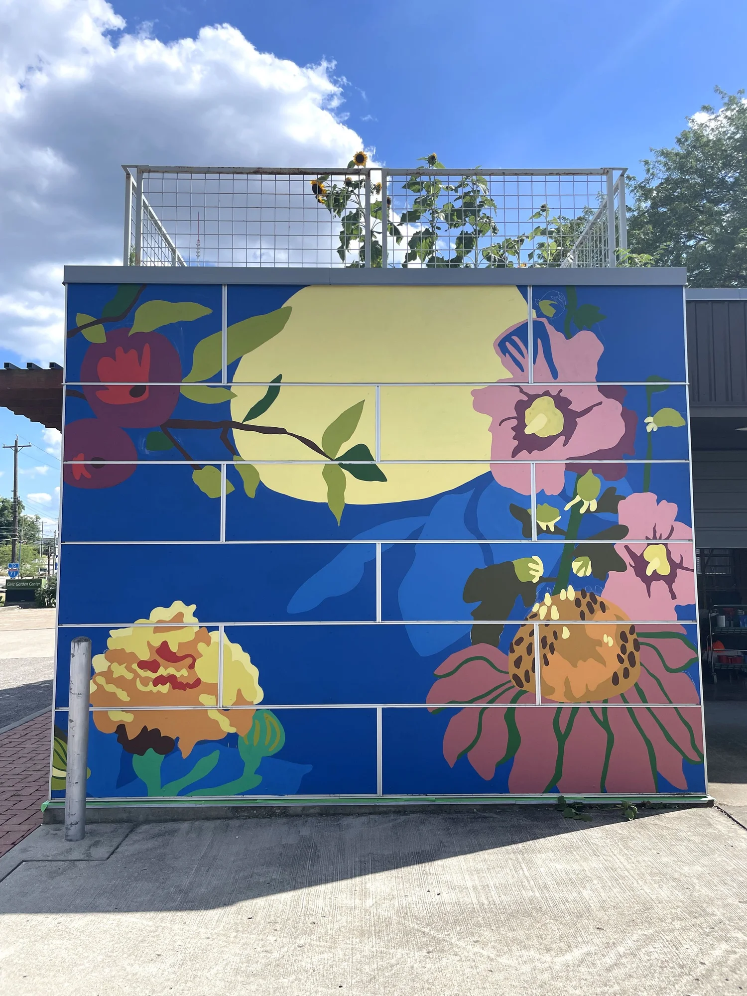 Select Work Murals — Studio Lyric