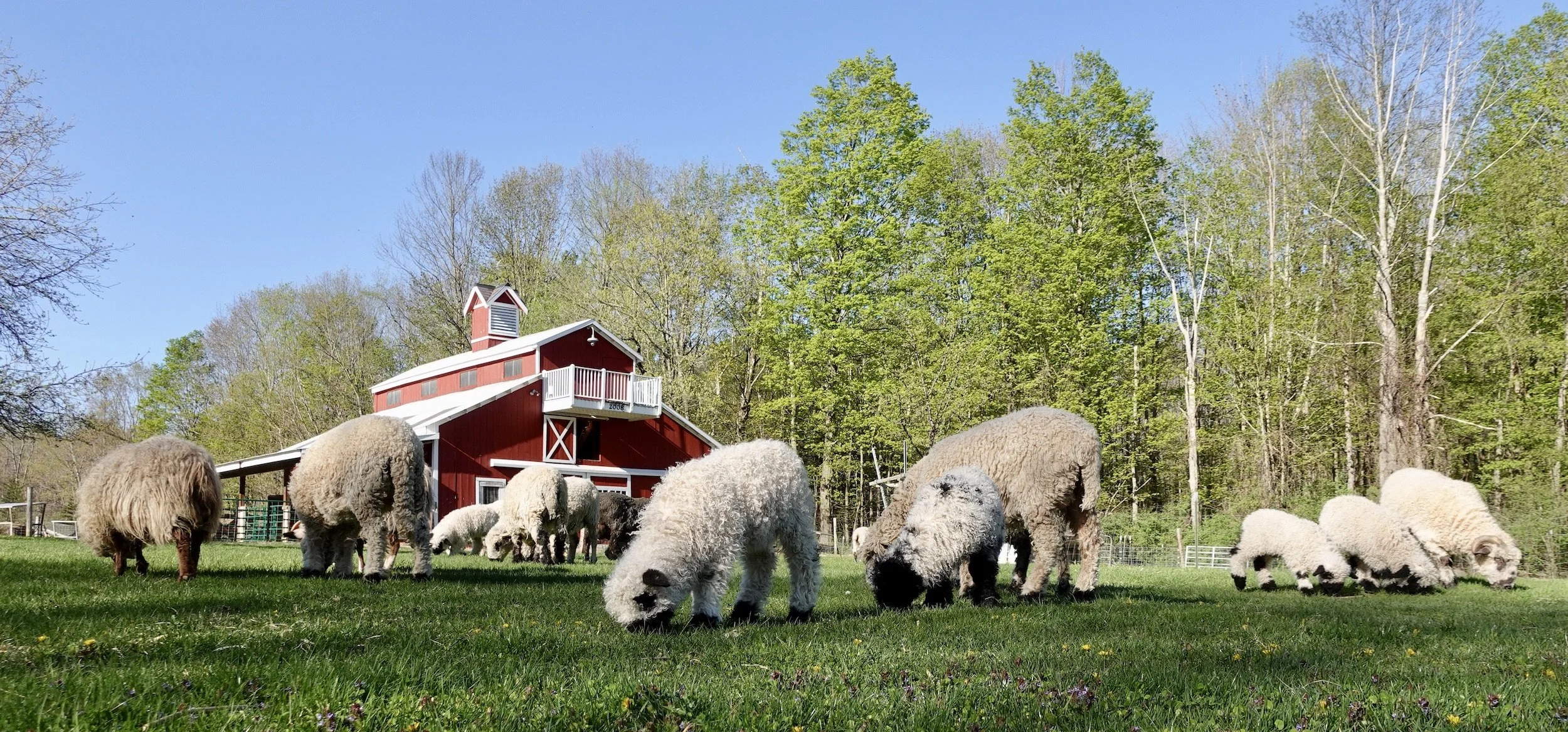 New England Farm & Fiber Festival