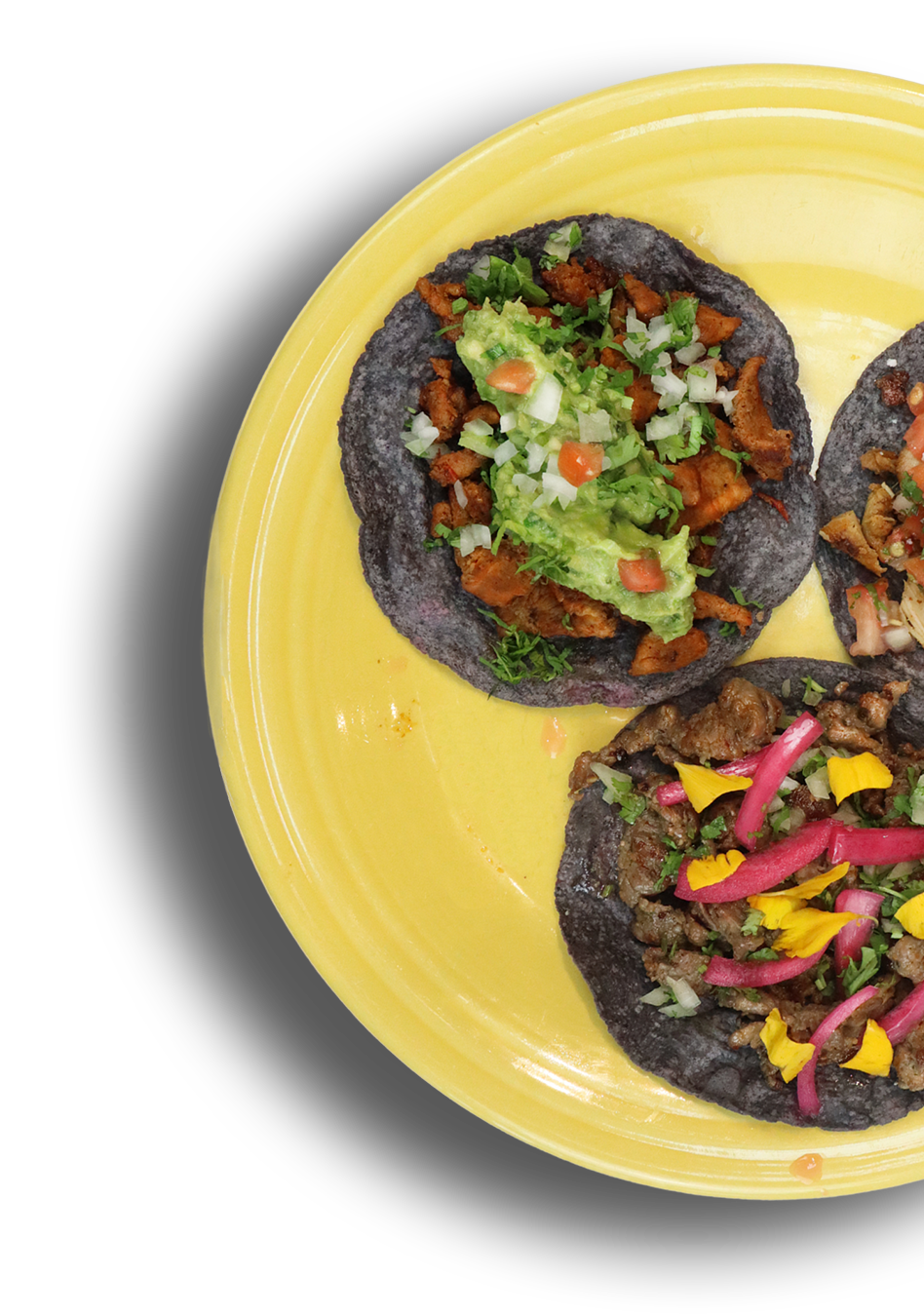 Masa Mexican Grill