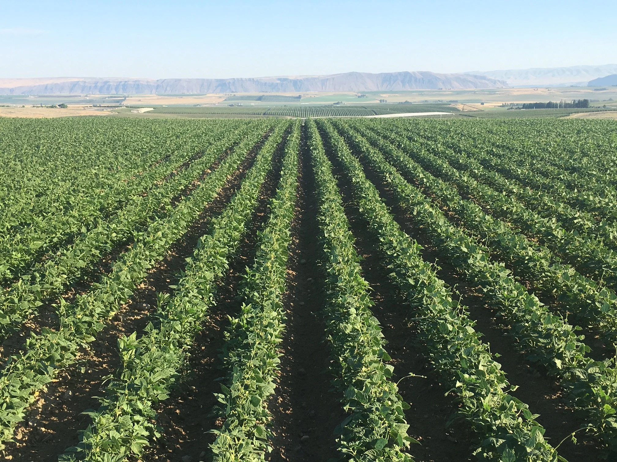 Our Farms — Cascade Milling