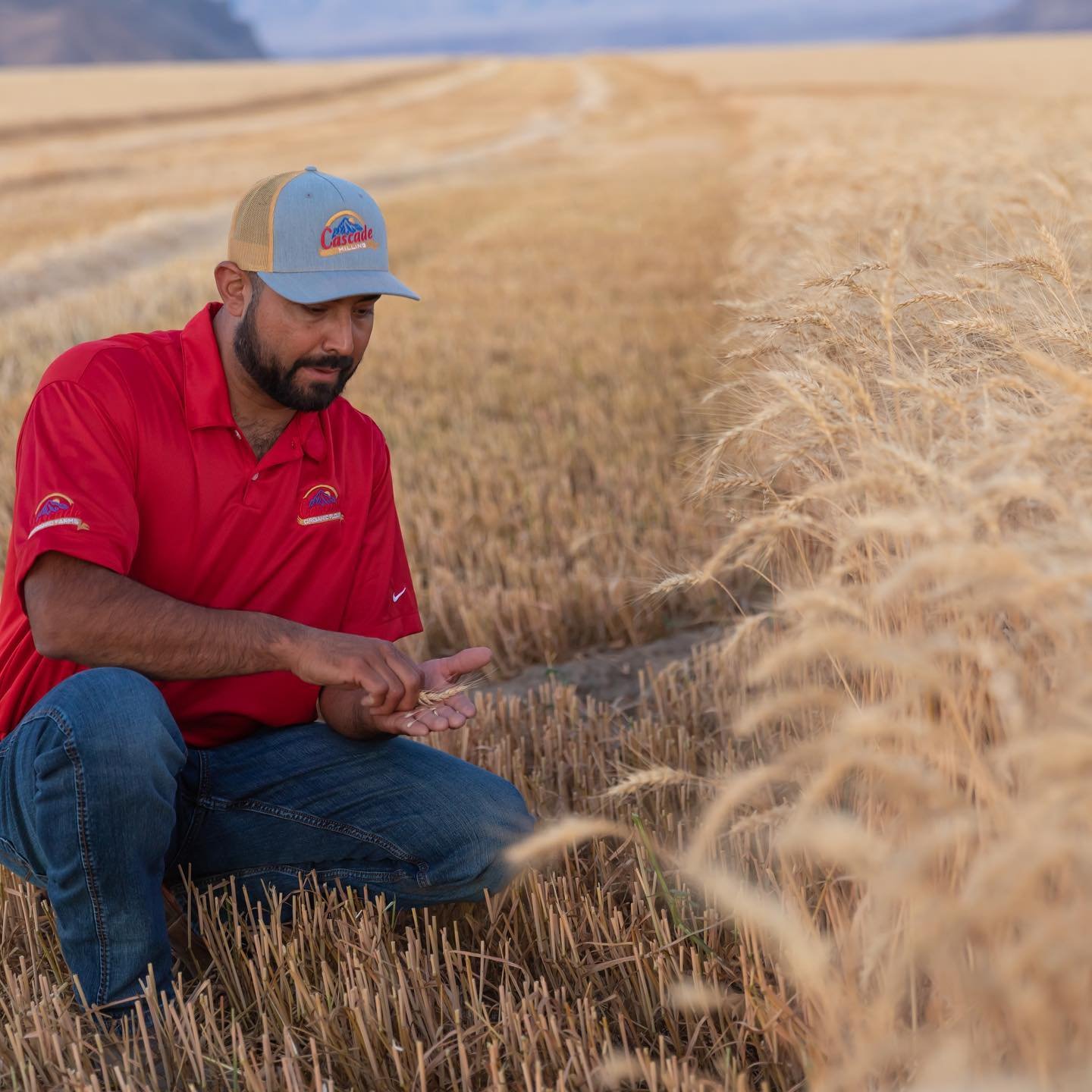 Our Farms — Cascade Milling