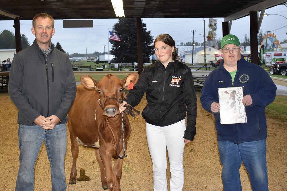 4-H & Dairy — Farmington Fair