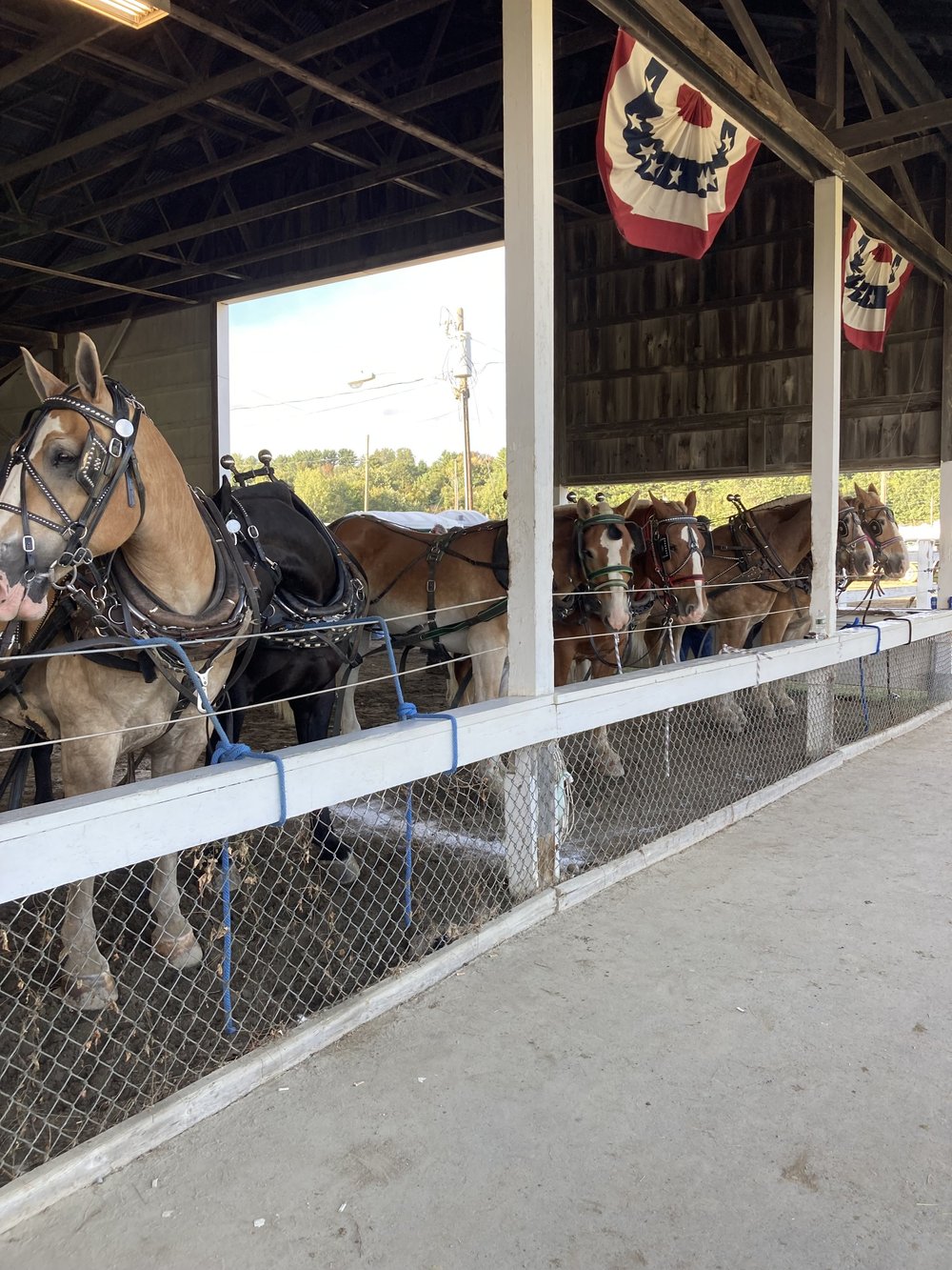 Pulling Ring — Farmington Fair