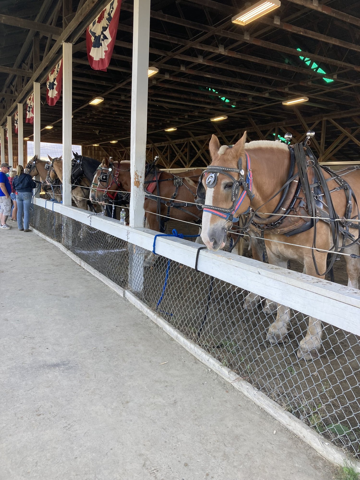 Pulling Ring — Farmington Fair