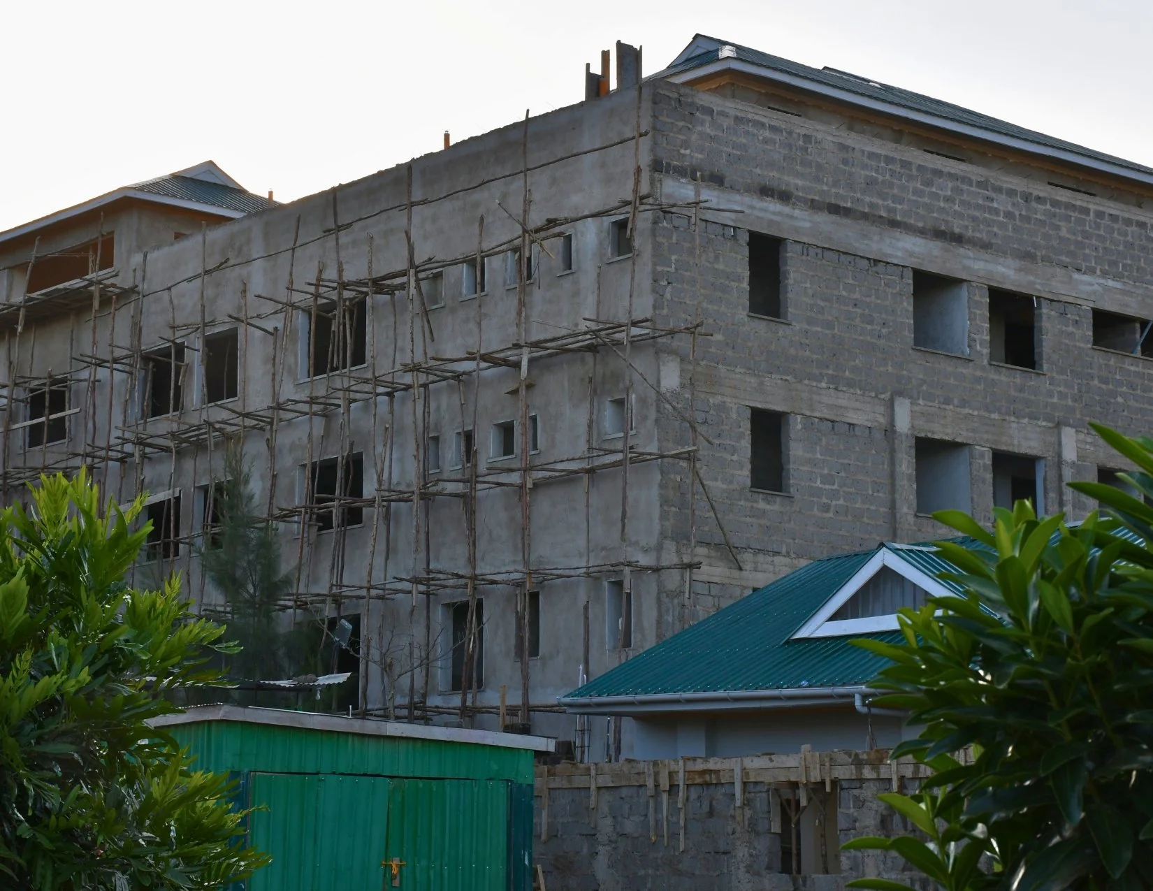 Blog — Tumaini International