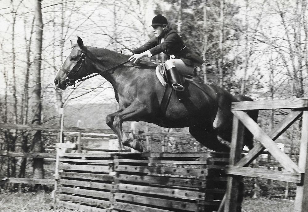 Pat Reese Reins Free — Rooster Strategy + Advertising