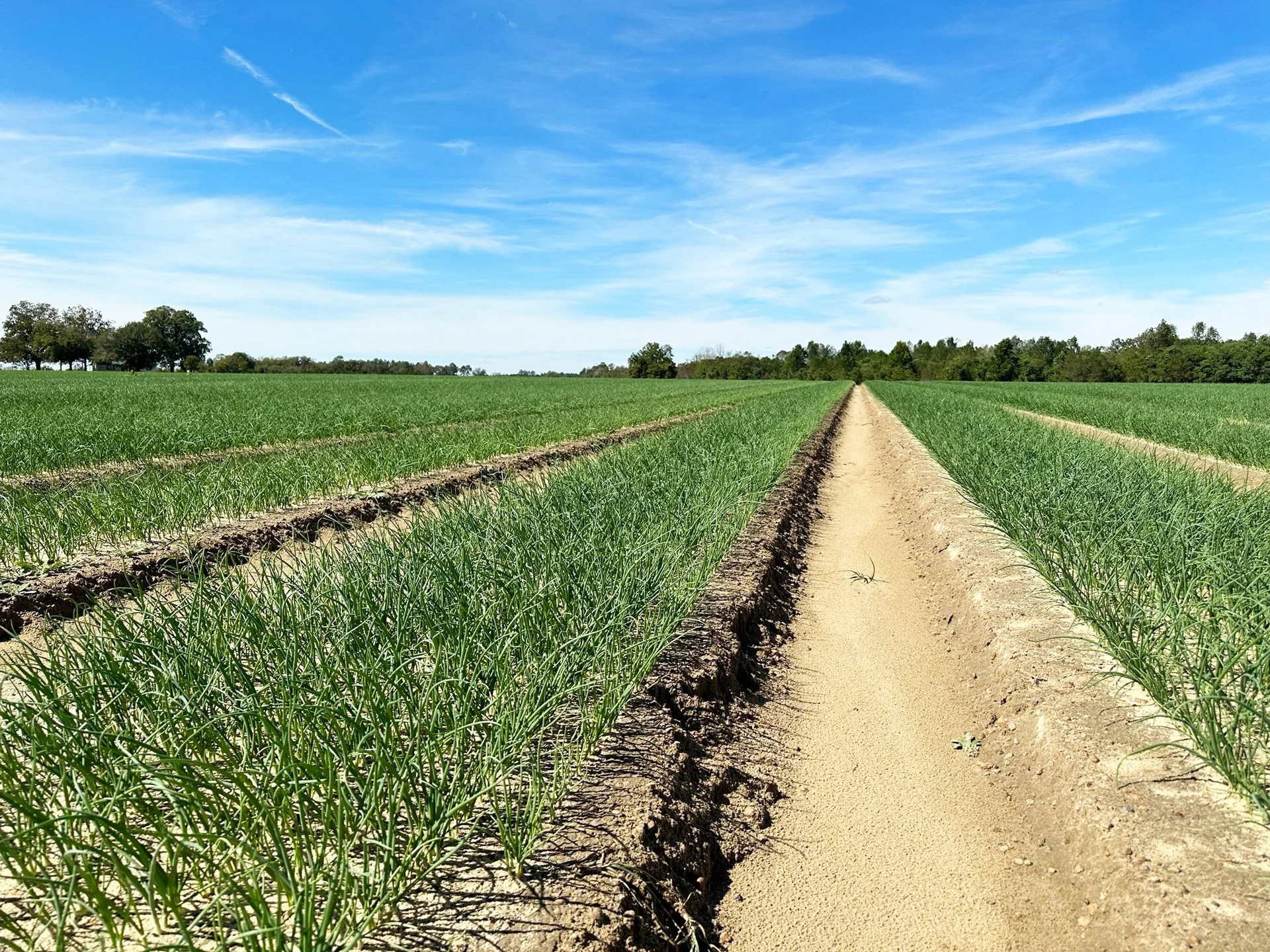 About Us — Collins Family Farms LLC