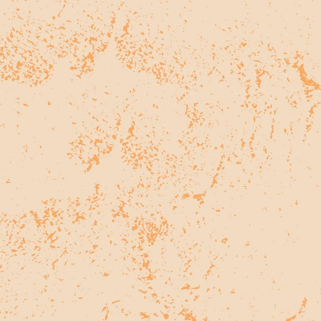 Schedule — Harmony Festival