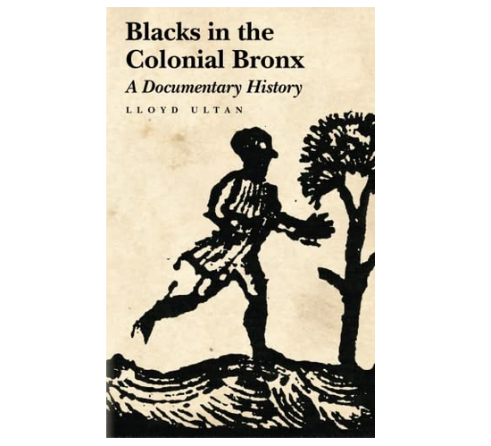 Bronx History Gift Shop — The Bronx County Historical Society
