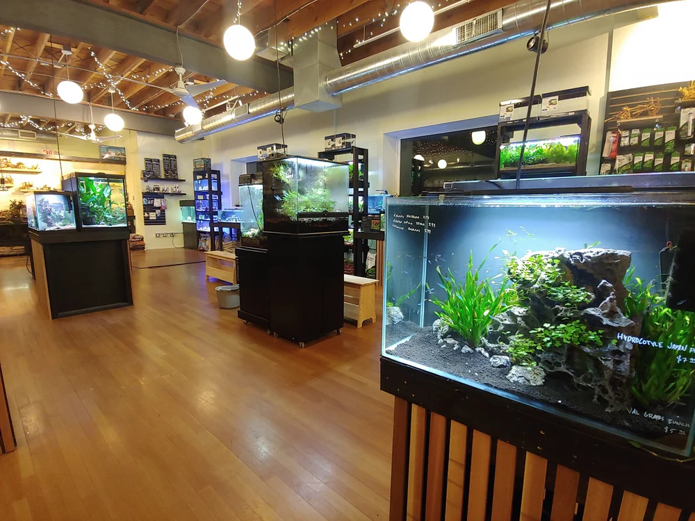 Rivershore Aquariums