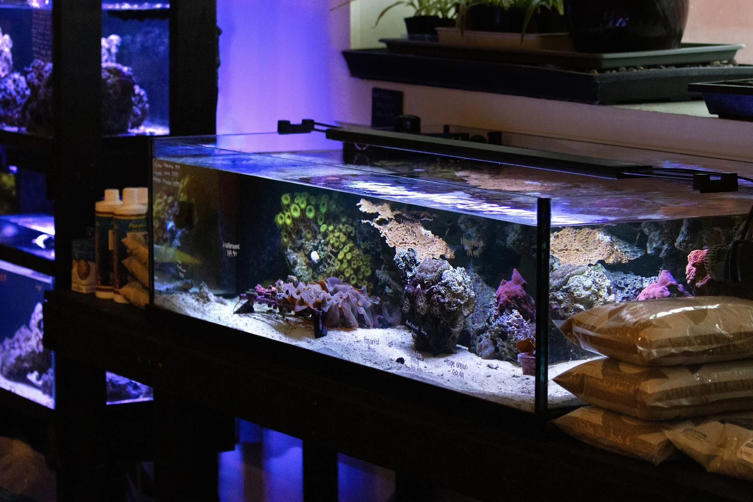 Our Store — Rivershore Aquariums