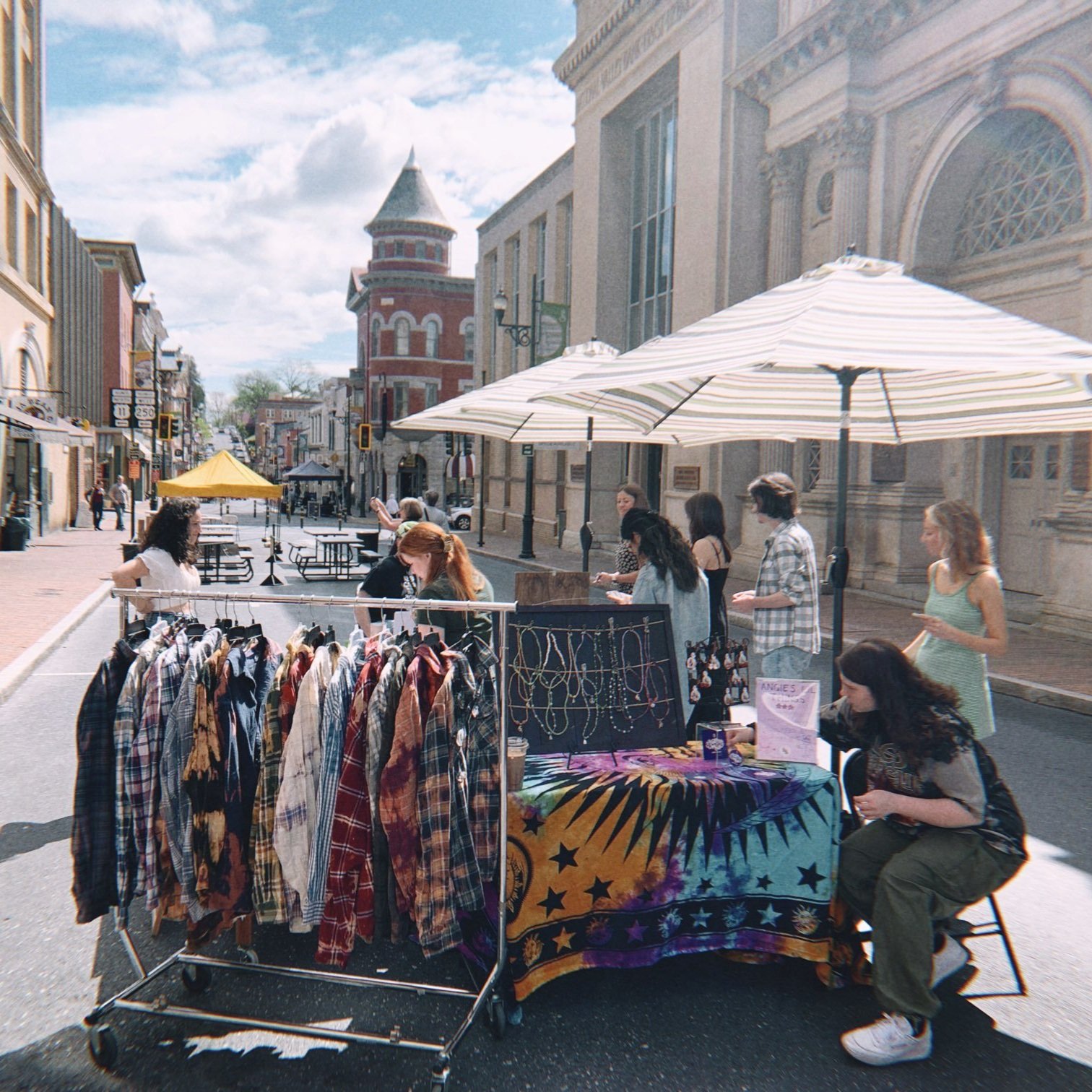 Student-Made James Madison