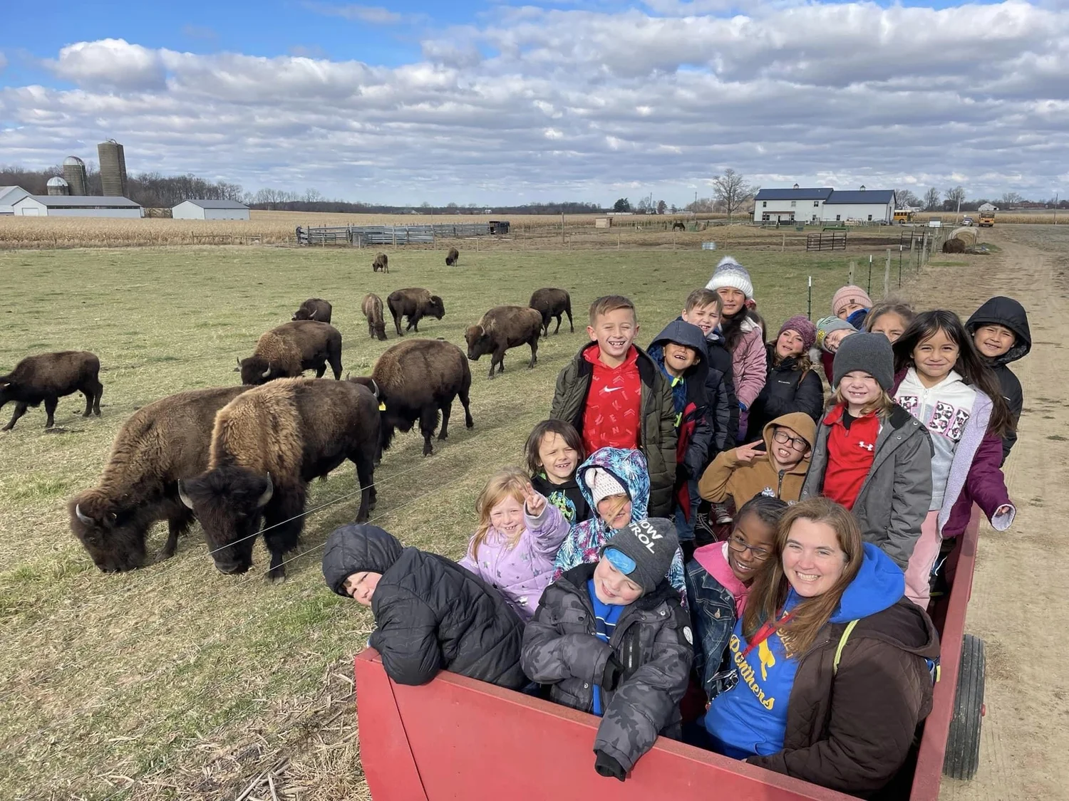 Indiana Grassfed Bison