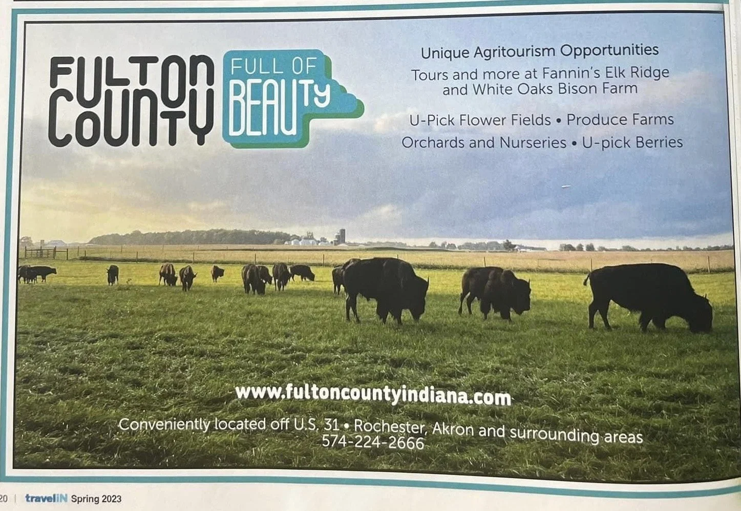 Indiana Grassfed Bison