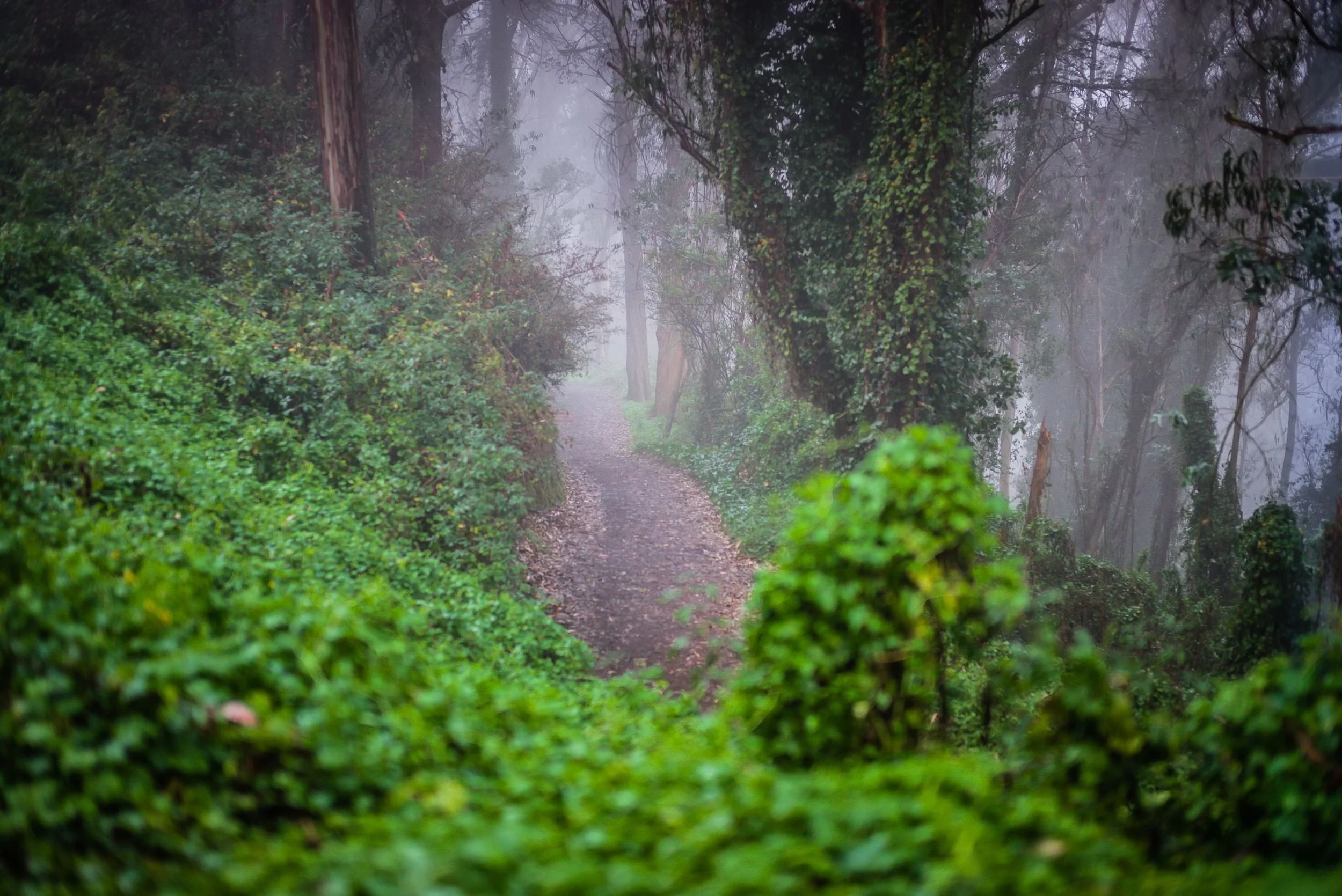 Visit — Mt. Davidson Cross