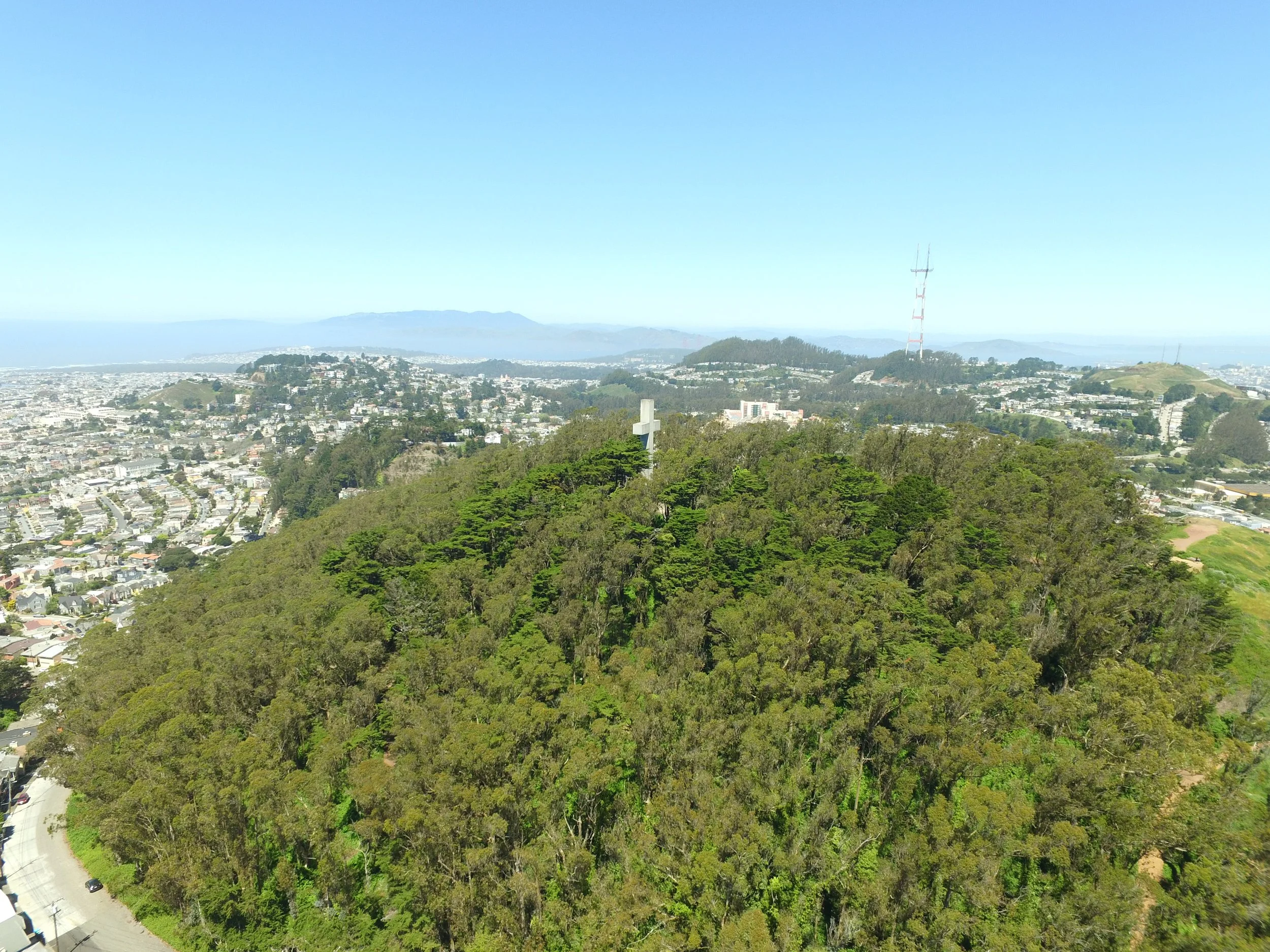 Reviews 1 — Mt. Davidson Cross