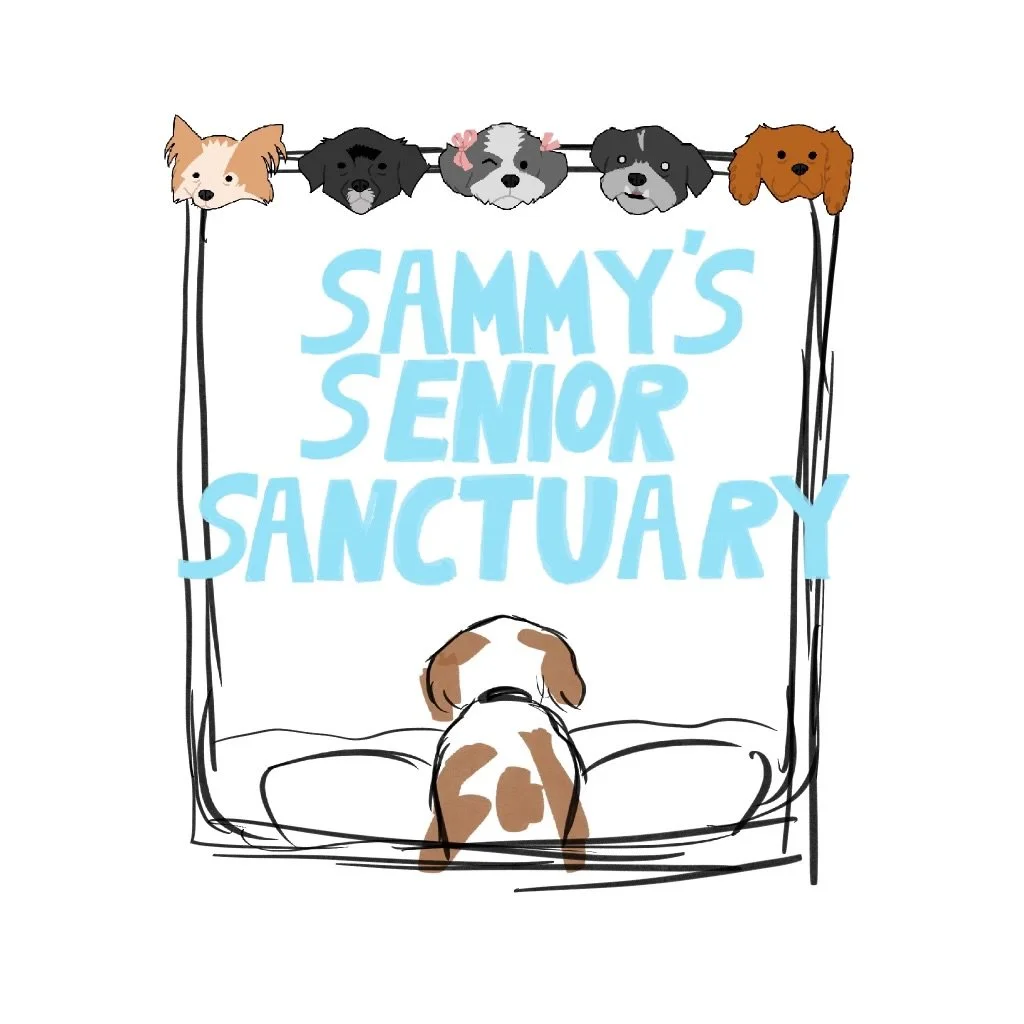 Team — Sammy’s Senior Sanctuary