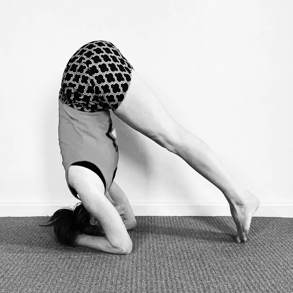 Iyengar Yoga Courses and Retreats — Blue Mountains Iyengar Yoga Studio