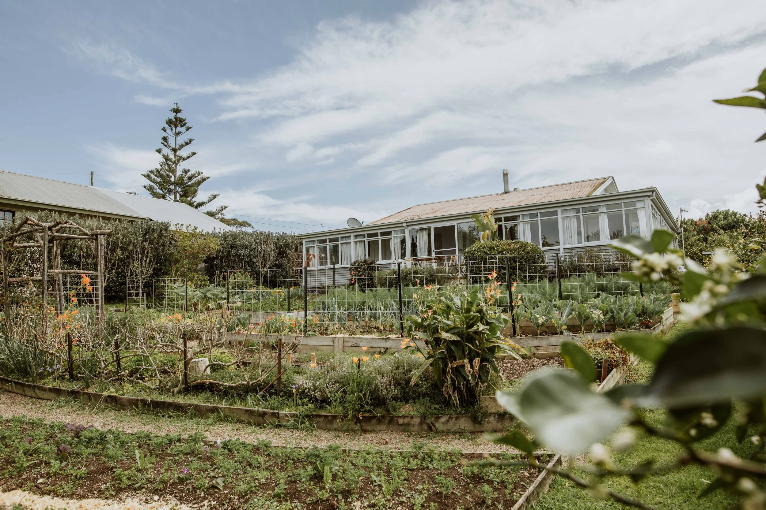 Kitchen Garden — Milkhaus