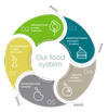 Learning from our food system during Covid-19 — Spira Food Systems Change
