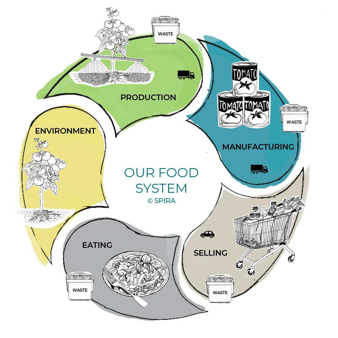 Courses - Spira Food System Academy — Spira Food Systems Change