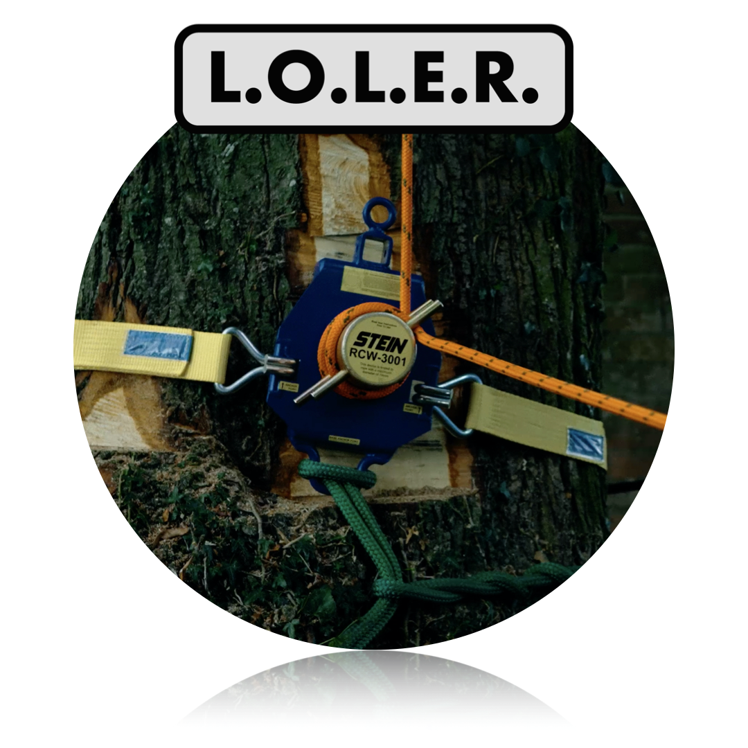 Commercial Tree Surgeons in Bromsgrove - CJ Tree Surgeons