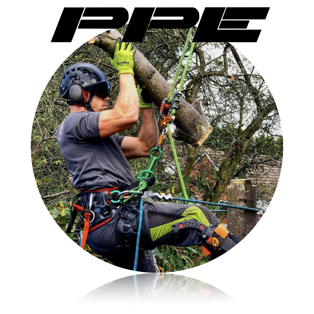 Commercial Tree Surgeons in Bromsgrove - CJ Tree Surgeons