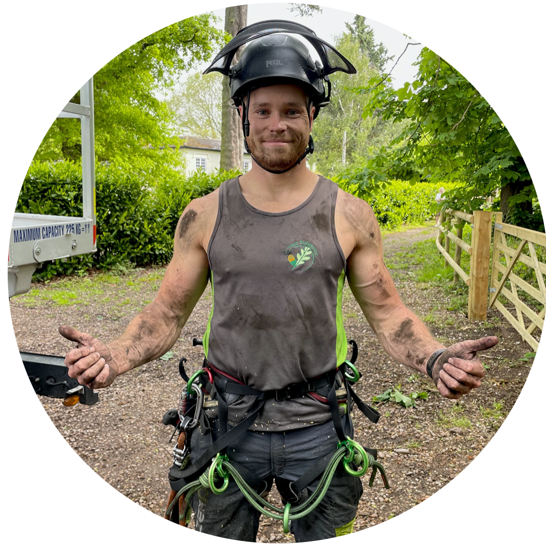 Contact Us - CJ Tree Surgeons