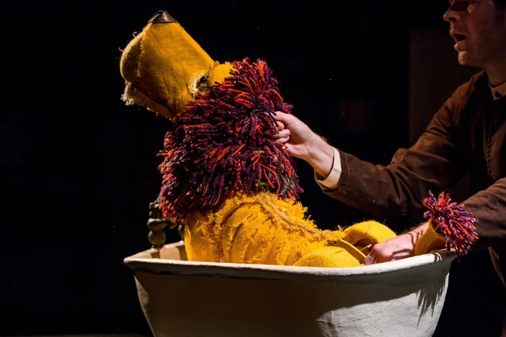 How to Hide a Lion by Helen Stephens — Helen Stephens