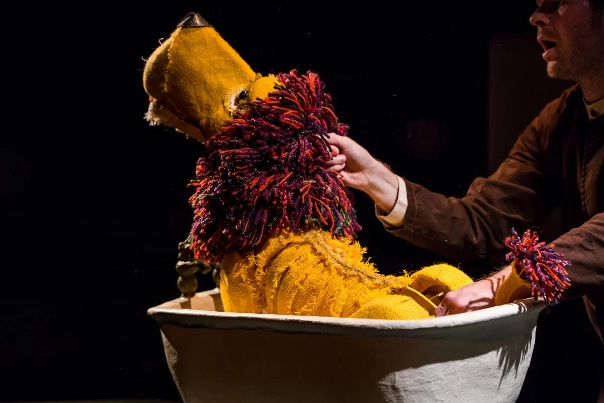 How to Hide a Lion by Helen Stephens — Helen Stephens