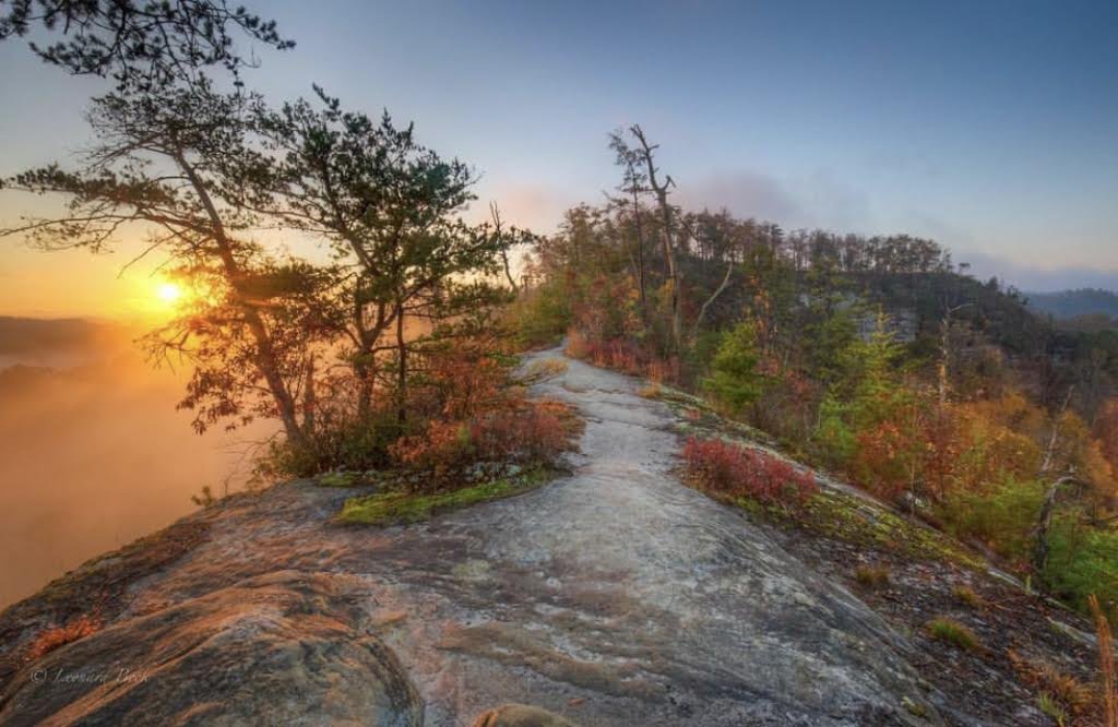 Activities and Attractions — Dappled Light