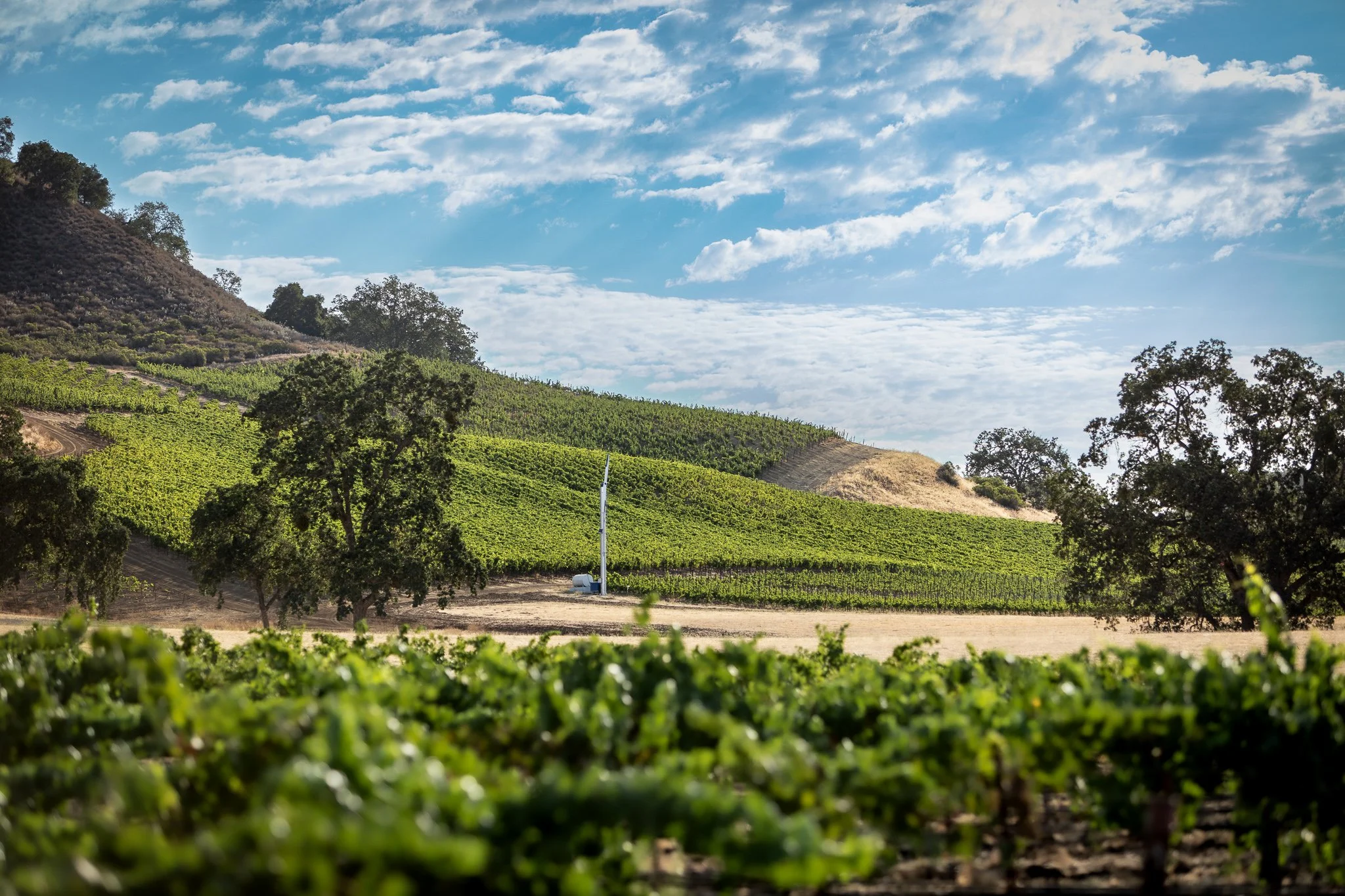 About | Halter Ranch