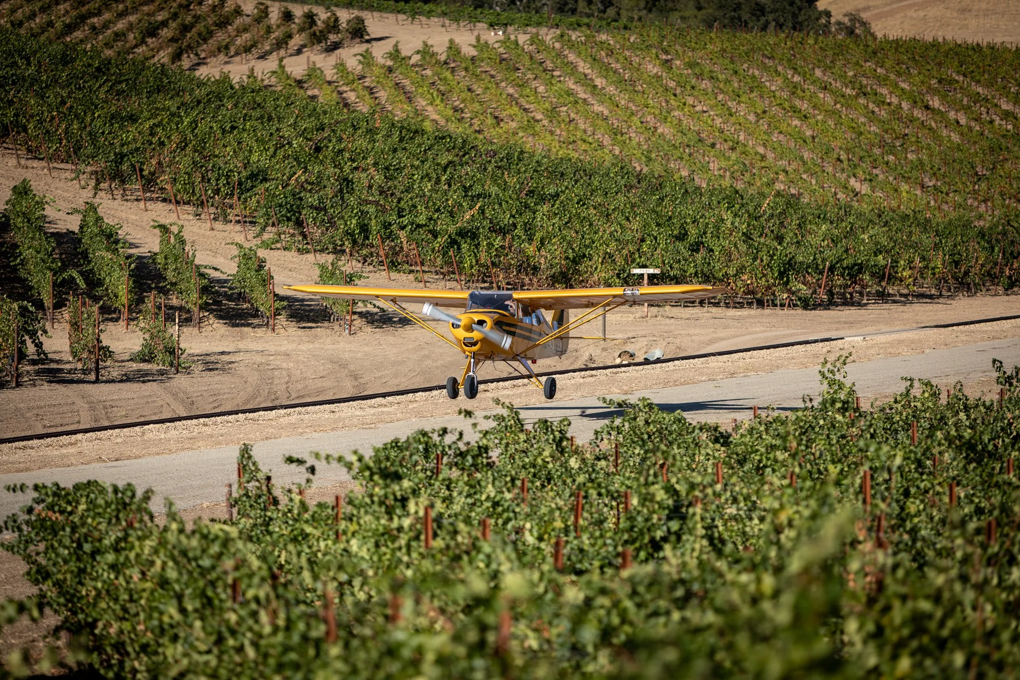 Visit Halter Ranch Estate | Paso Robles' Westside Location | Halter Ranch