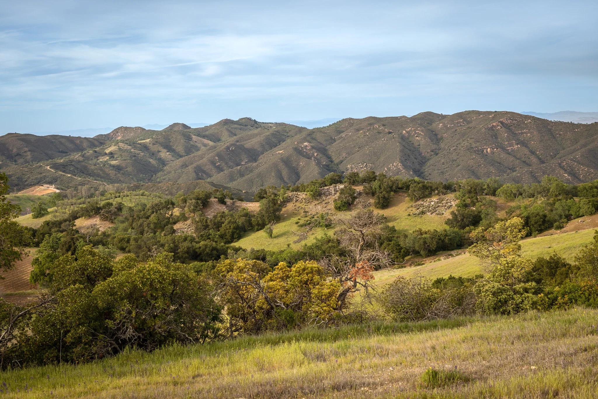 About | Halter Ranch