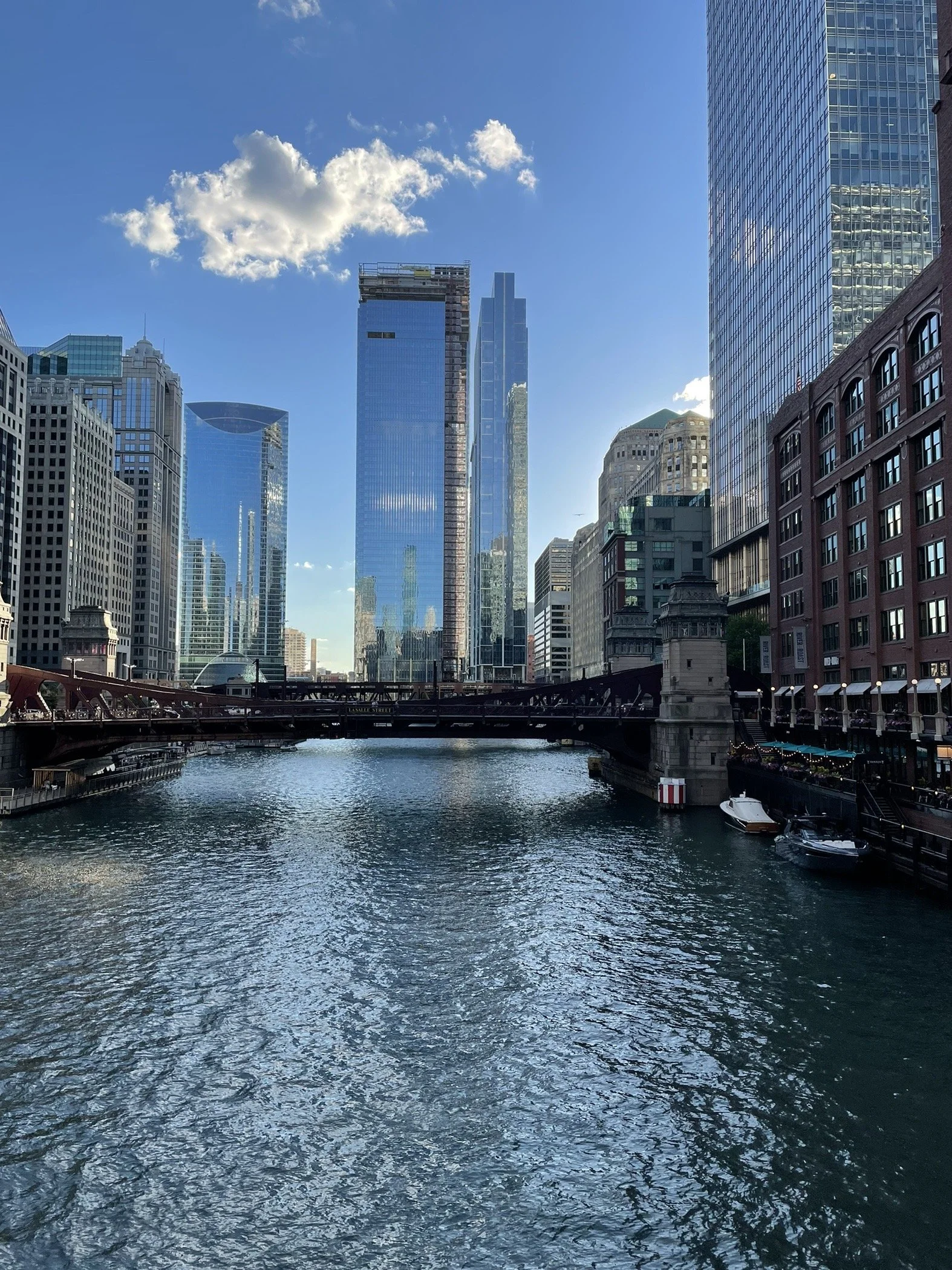 The Ultimate Guide to the Chicago Marathon — Tammy on the Run
