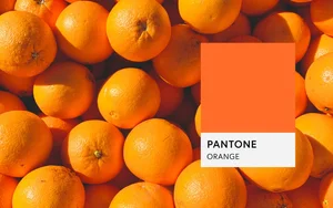 The Power of colour - ORANGE — Soley Creative Design Studio | Branding ...