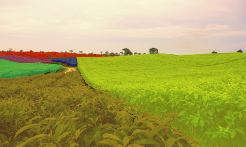 Agricultural Dataset Provider | DigitalDivideData