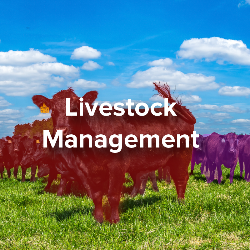 Agricultural Dataset Provider | DigitalDivideData