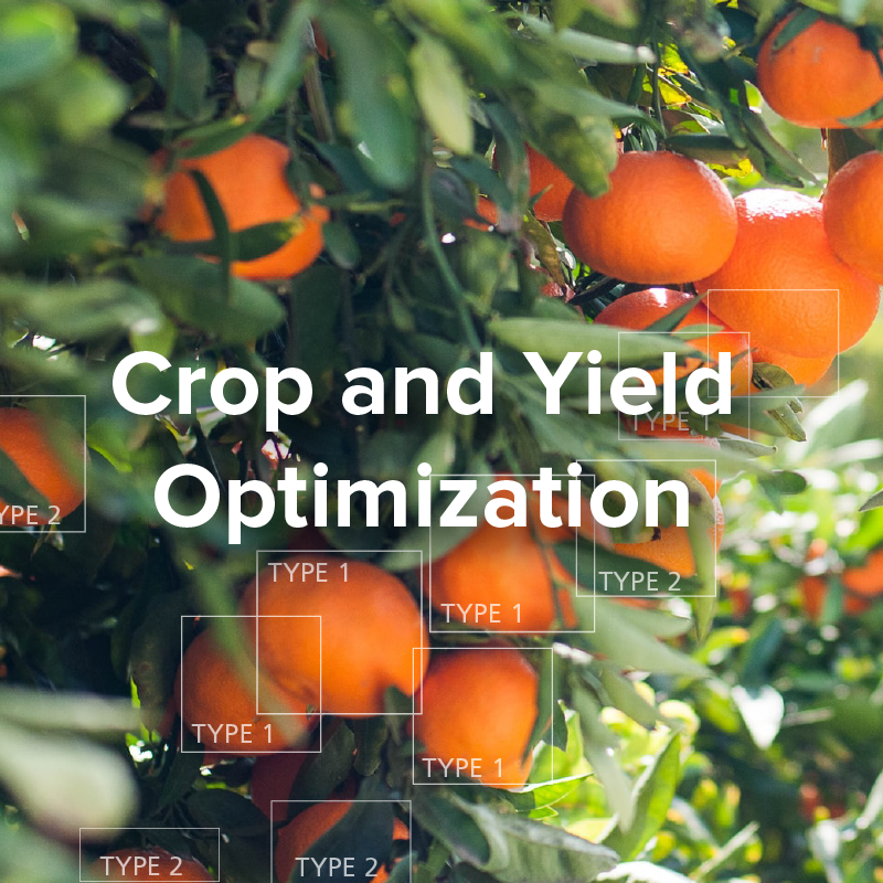 Agricultural Dataset Provider | DigitalDivideData