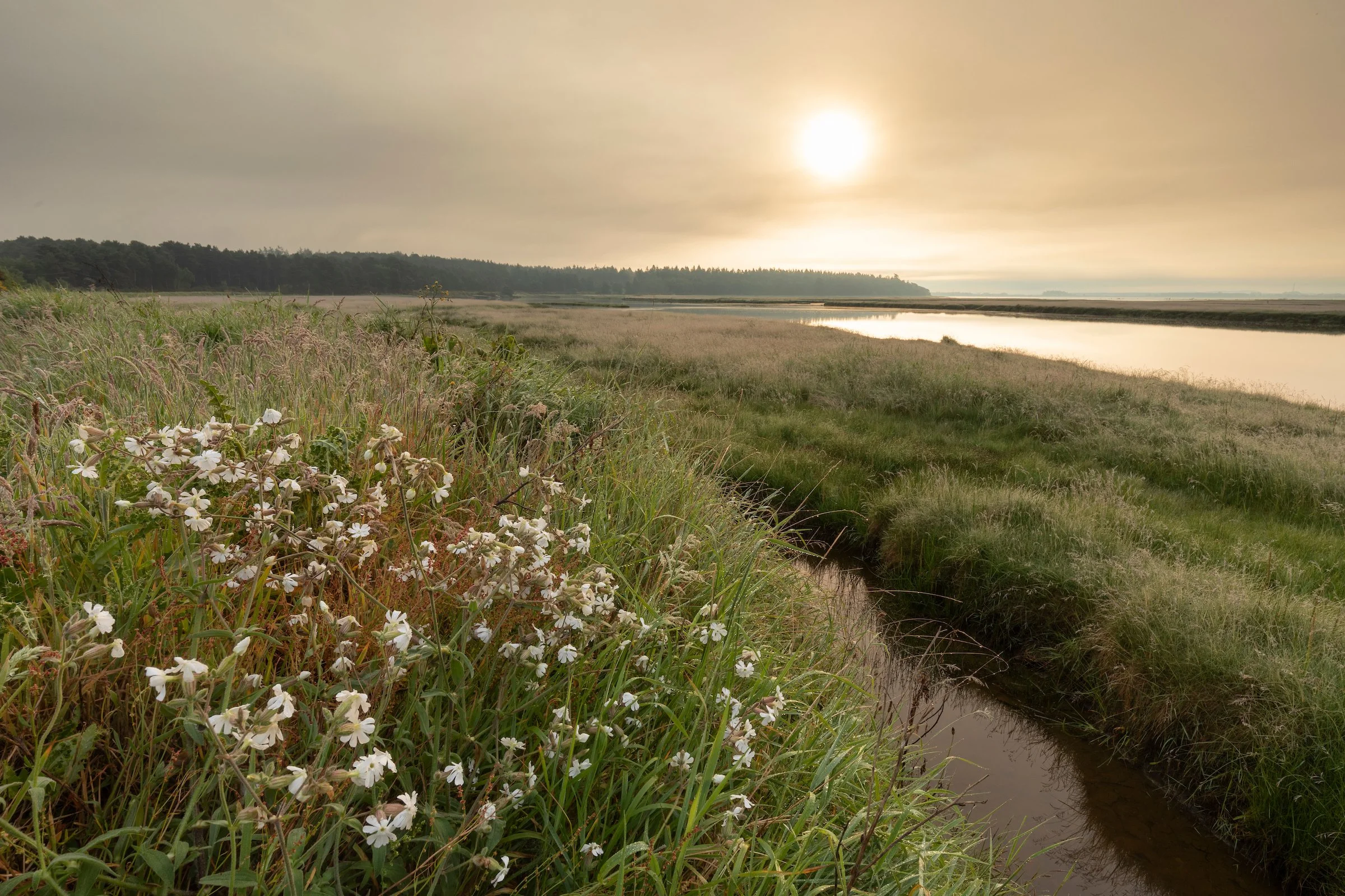 Nature Recovery — Findhorn Watershed Initiative