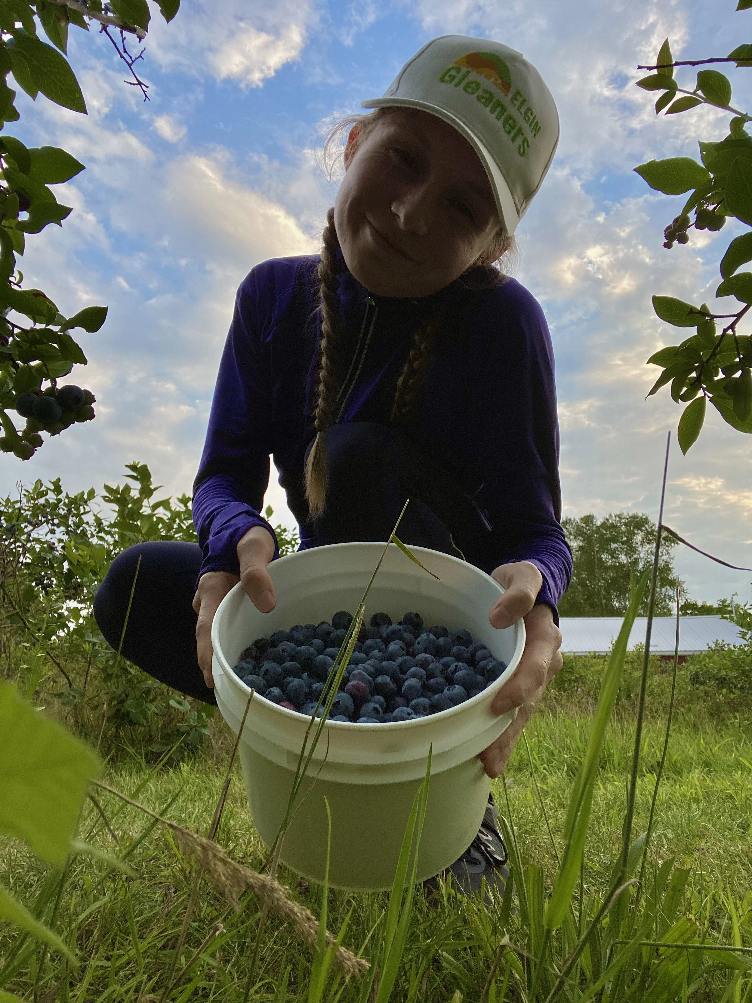 Sophia — The Lessard Research Group