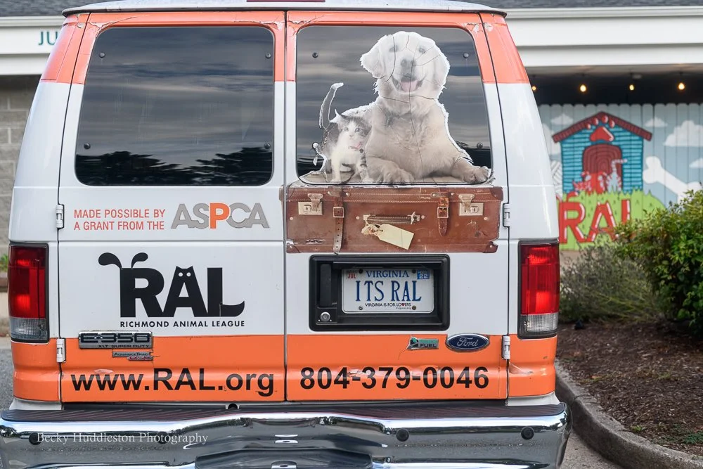 Contact Us — Richmond Animal League